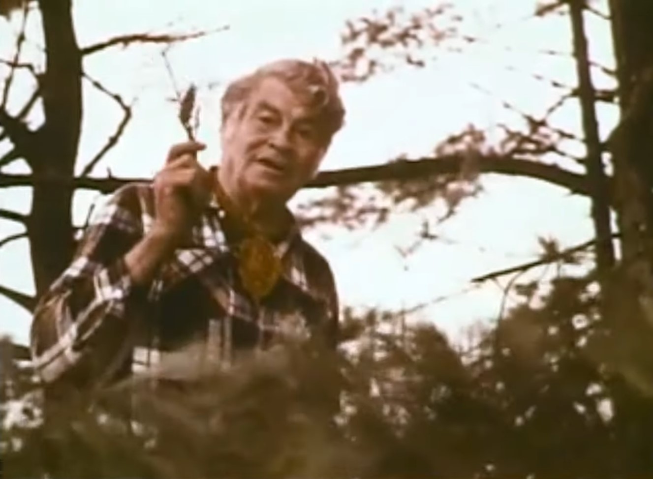 70s Commercials: Grape-Nuts, Doritos, G.I. Joe, Maytag (1970-71 ...